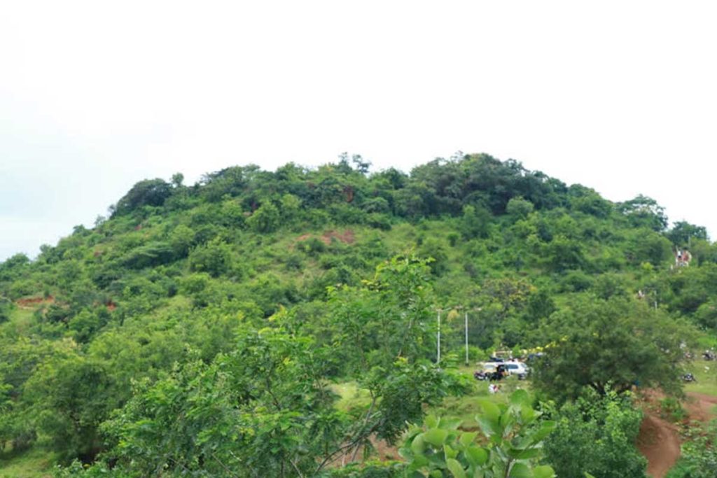 Sanjeevani Vegetable Bet – Marathwada Tourism Development Chamber (MTDC)